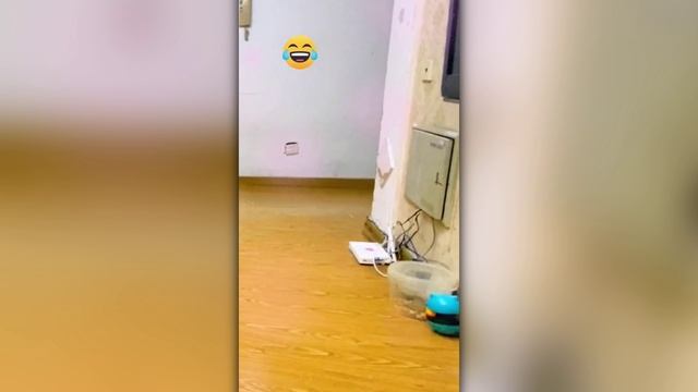 Подборка приколов