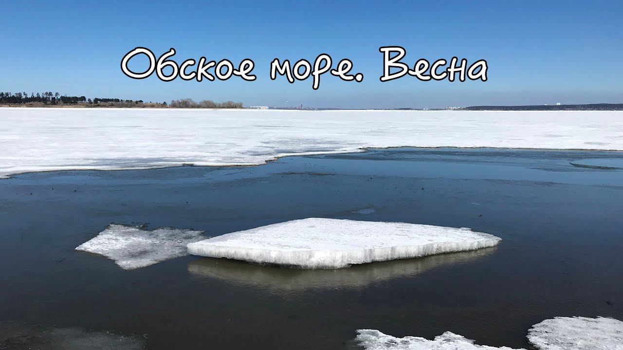 Обское море. Весна