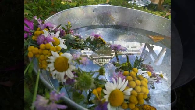 #1 АРХИВ: ПРИГЛАШАЕМ на летние пленэры | ТВОРЧЕСКАЯ МАСТЕРСКАЯ  | ПЕРСПЕКТИВА