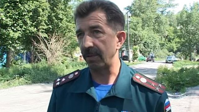 Тополиный пух. Июнь 2010 год.