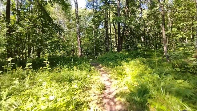 2024-07-09_15-25 с базы на Мокрый