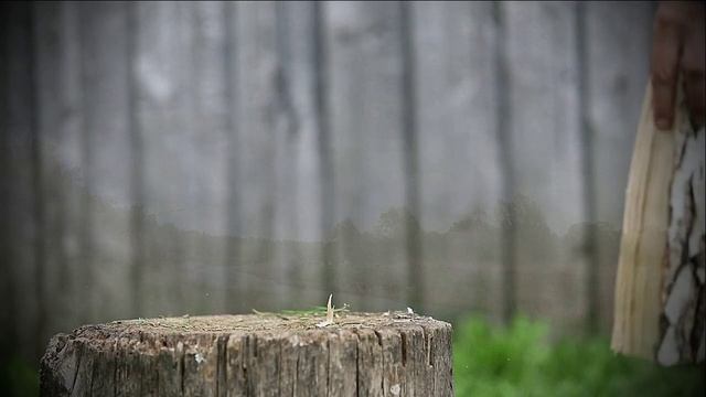 Тапки-каннибалы