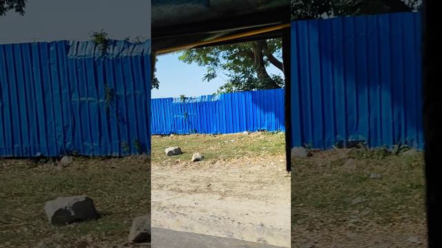 Мусор в Мьянме