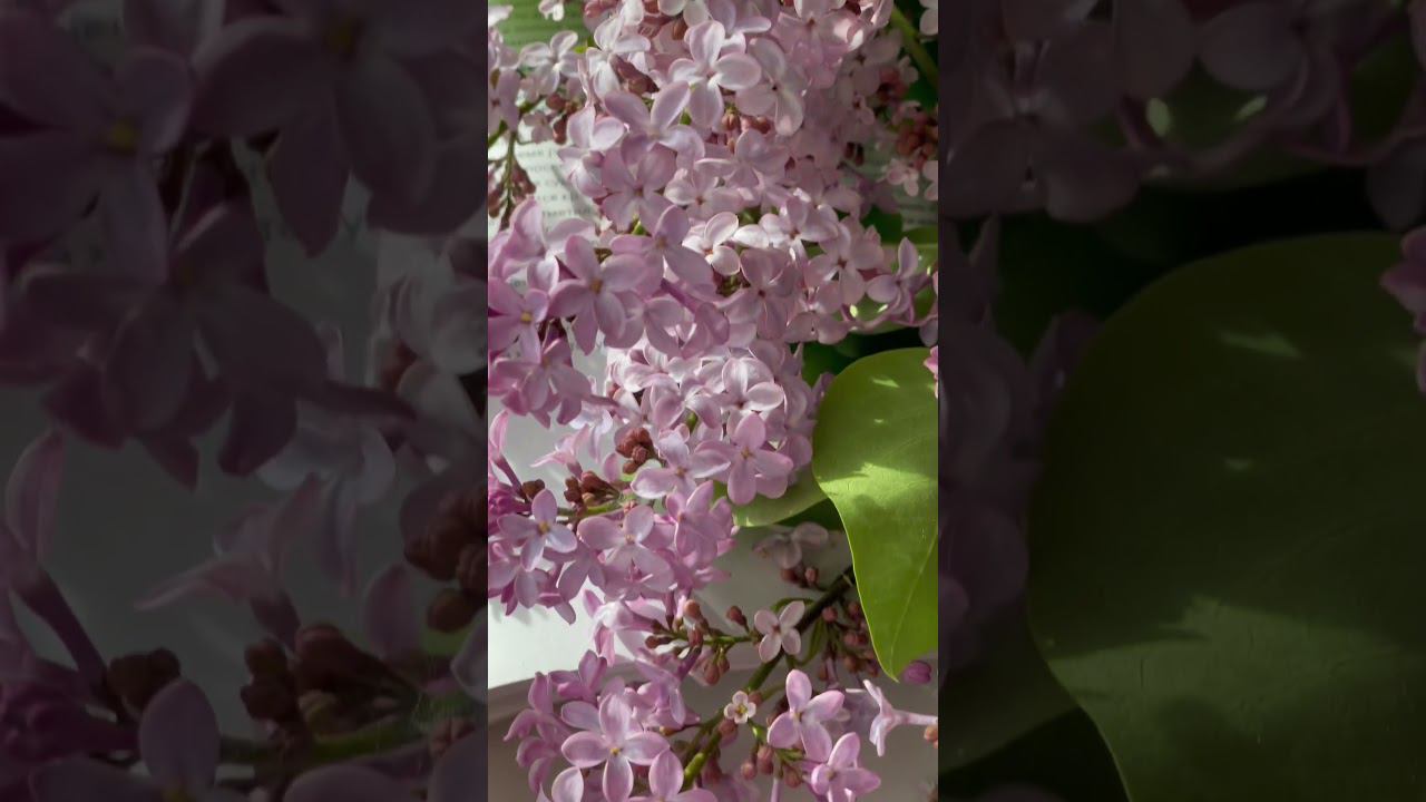 Закладка для книг  #обзор #crochet #ажурныйузор #вязаниекрючком #закладка #книги #закладки #ажур