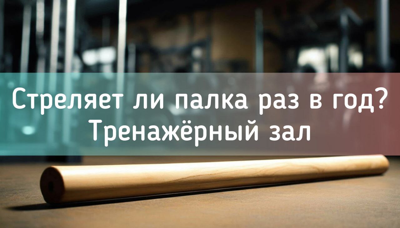 Стреляет ли палка раз в год? 7/365 #юмор #рекомендации #палка #кринж