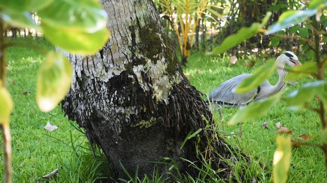 Массаж на Fihalhohi. Мальдивы. Поход в Spa