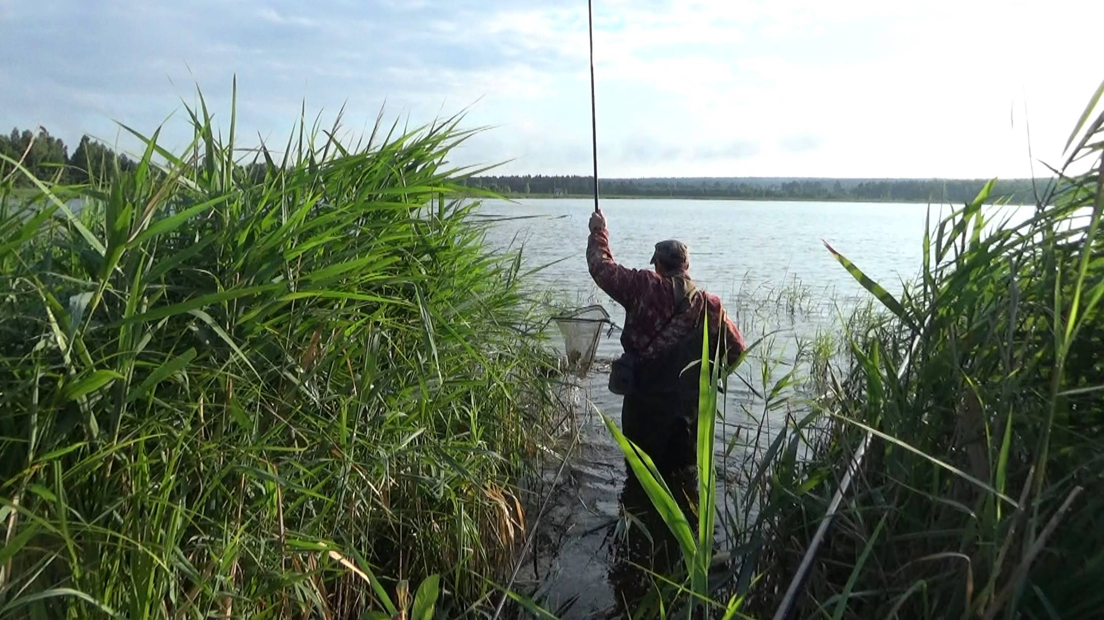Рыбалка 19 июля в тростнике на поплавок на удочку - отличная рыбалка