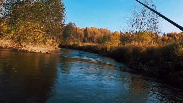 ЛОВЛЯ ХАРИУСА НА МИКРОРЕЧКЕ