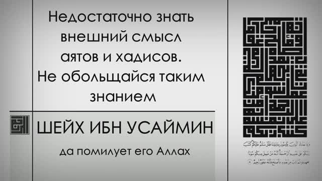 Шейх Ибн Усаймин: Не обольщайся знанием внешнего смысла хадисов اللامذهبية