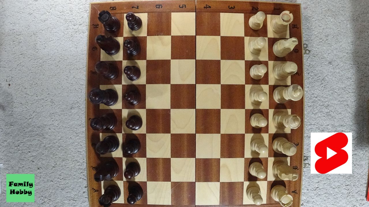 #shorts шахматы ♟ Пол Морфи