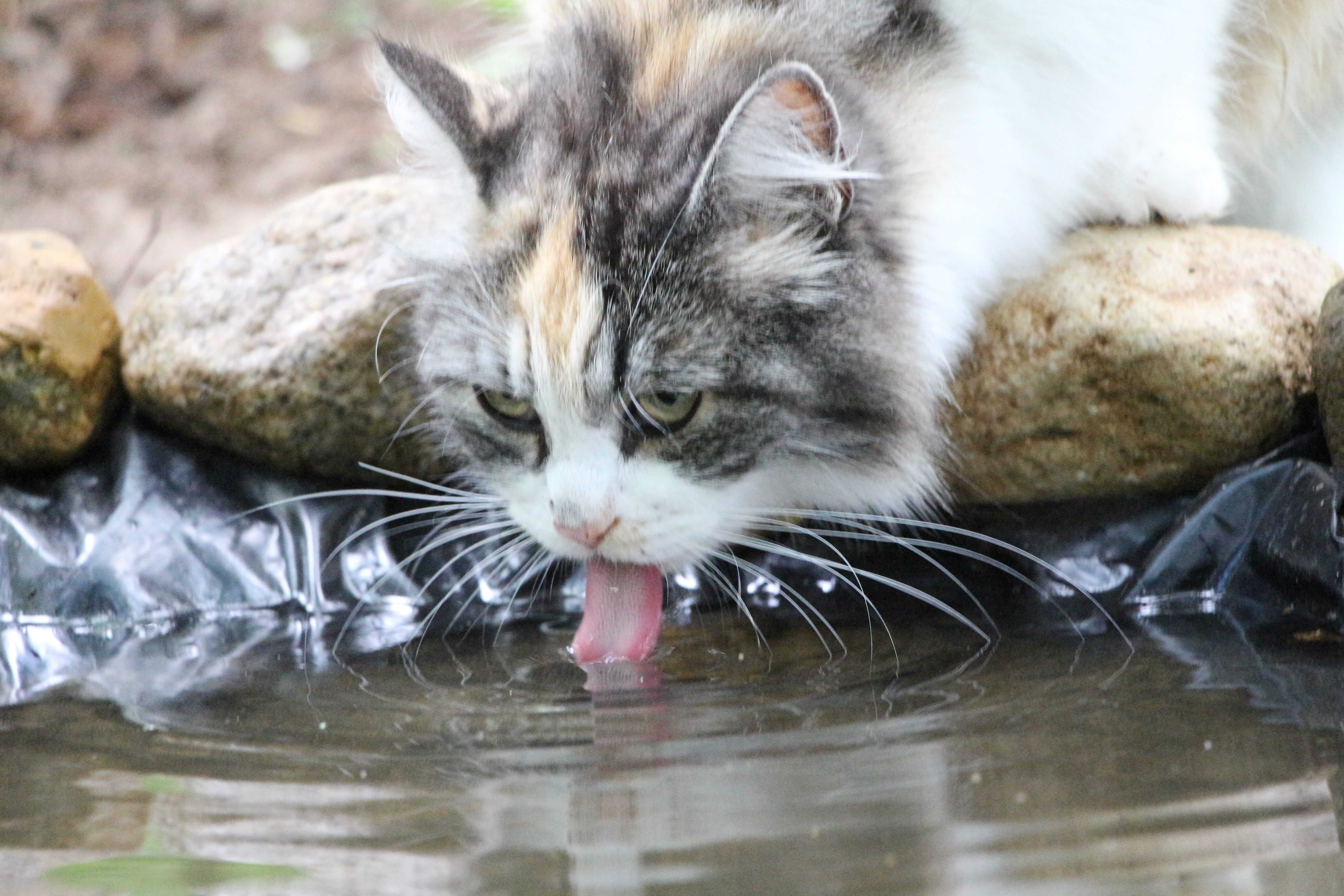 Озеро. Начало