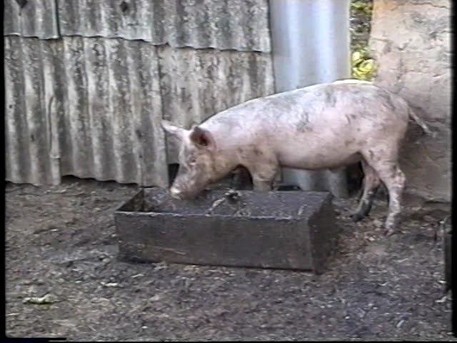 11 08 1999г Санек уезжает