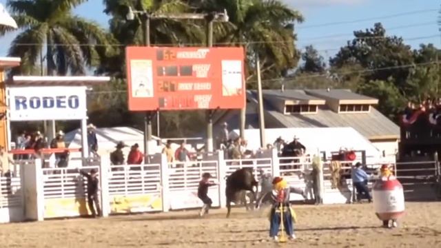 Родео в г. Хомстед, Флорида США.  Январь 2016 г