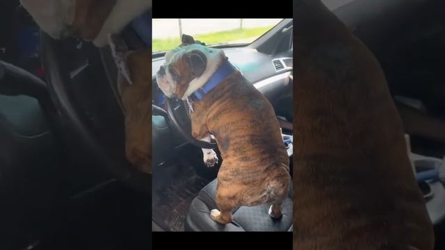 зачатие Оптимуса Прайма #непознавательноетв