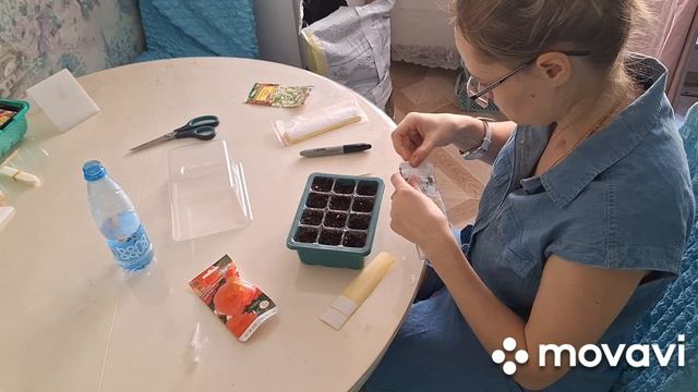 сажаю Бегонию 10.02.24