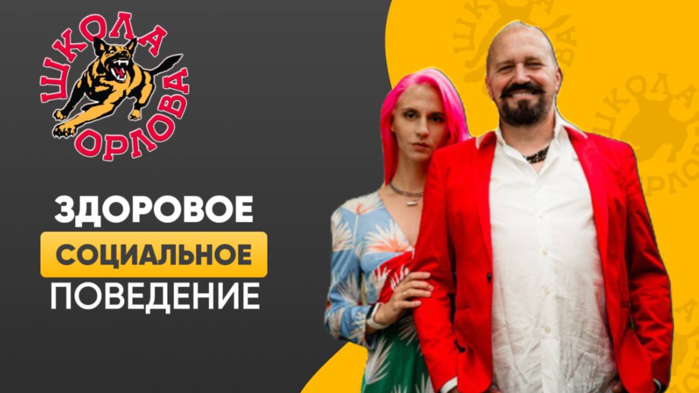 Только от вас зависит уровень развития вашей собаки.