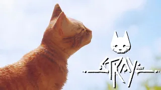 ПРОЩАЙ ПОДЗЕМНЫЙ МИР (И B12) _#9_ Stray _ ФИНАЛ