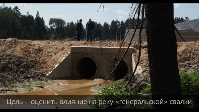 Посадка роз КПО Нева и проверка воды в реке Радомля