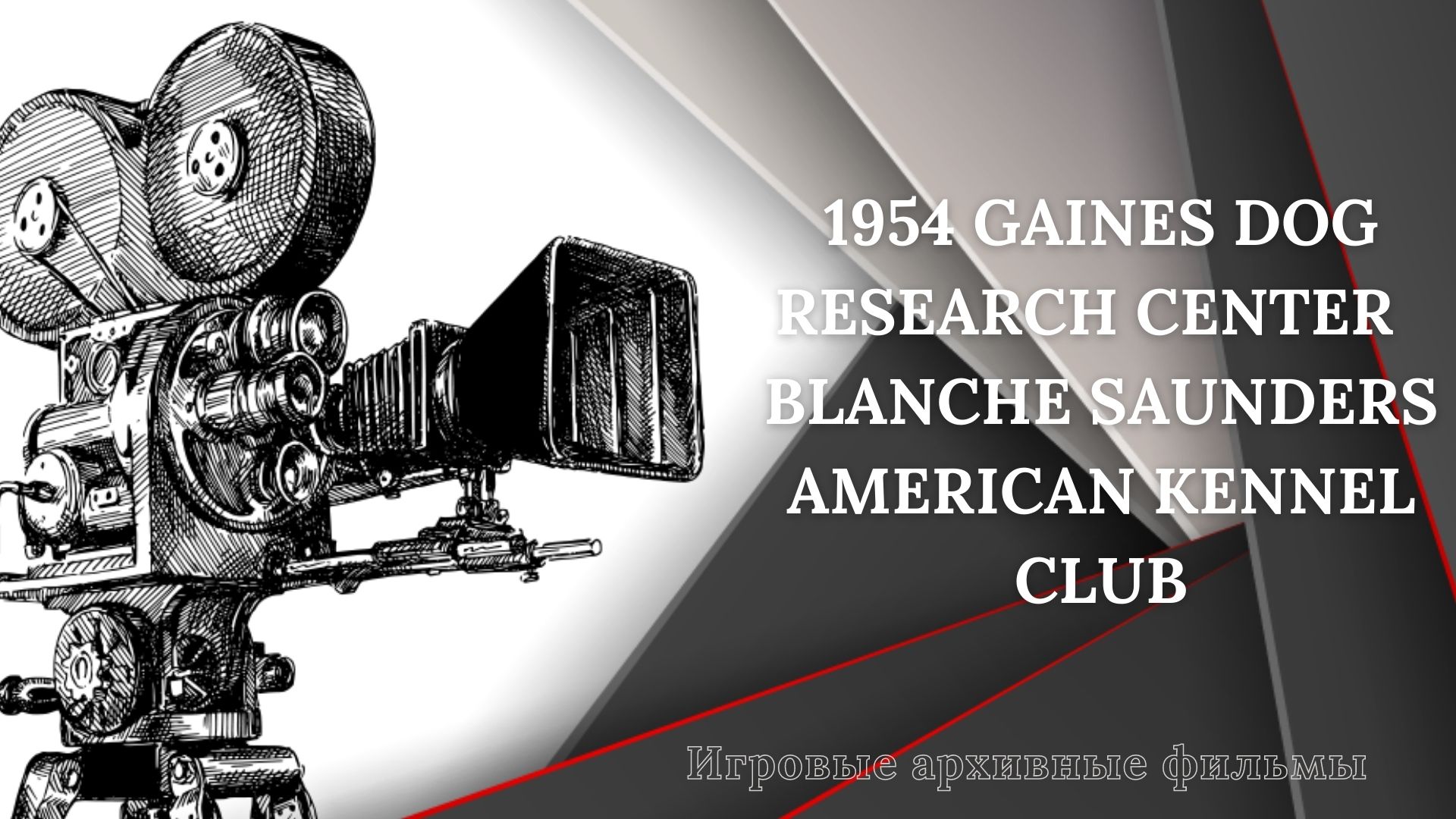 1954 ЦЕНТР ИССЛЕДОВАНИЯ СОБАК ГЕЙНСА АМЕРИКАНСКИЙ КЛУБ СОБАКОВОДСТВА БЛАНШ СОНДЕРС