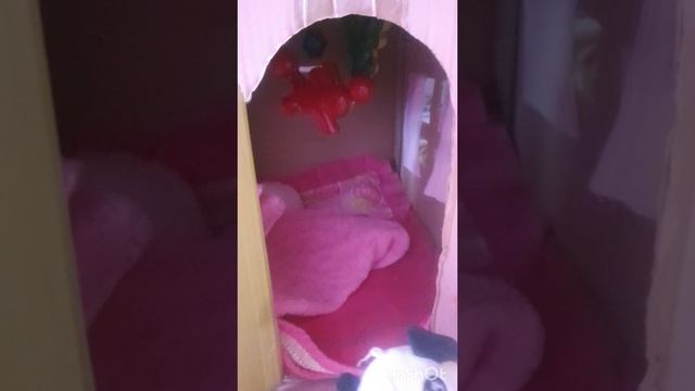 Утро уточки Нилки.