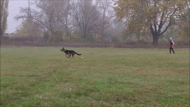 FrisbeeМанія2019   Светлана ВЕО Шани.mp4