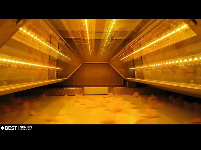 Оптическая сортировка чипсов на  Genius от  TOMRA