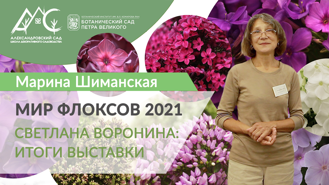 "МИР ФЛОКСОВ" 2021 в Ботаническом саду им. Петра Великого