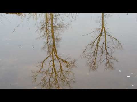 апрель в парке