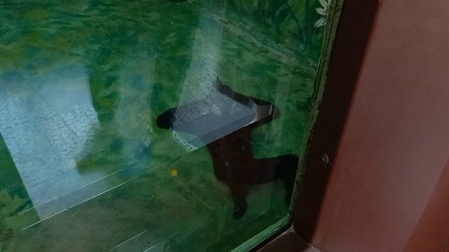 Напугать человеков!