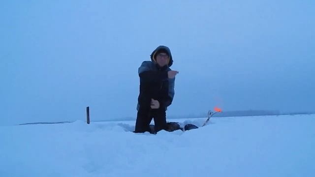 Очень бойкий налим