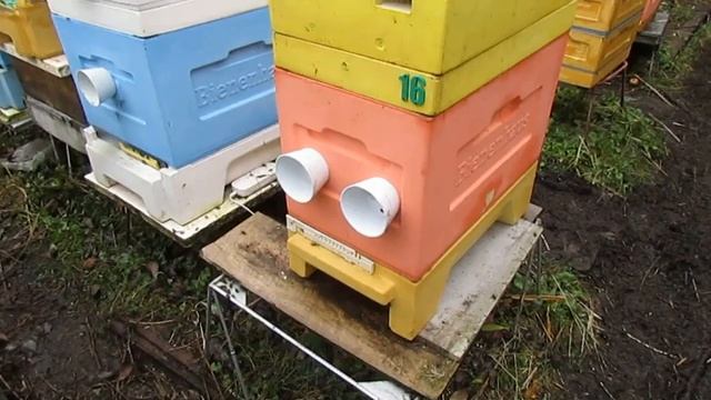 зачем на пасеке 6 рамочный улей, если есть 12 рамочный - ноябрь на пасеке.