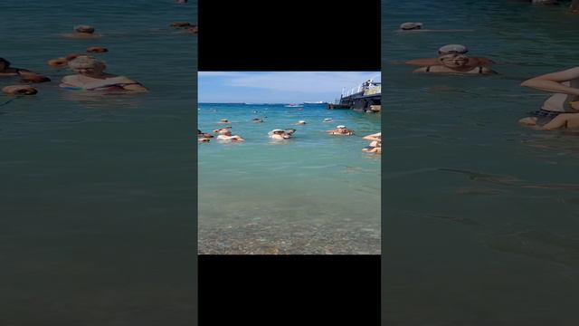 20240804_101912 . Кабардинка 2024