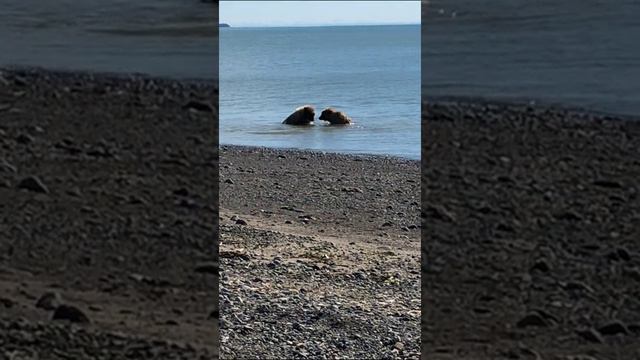 Beautiful music for relaxation