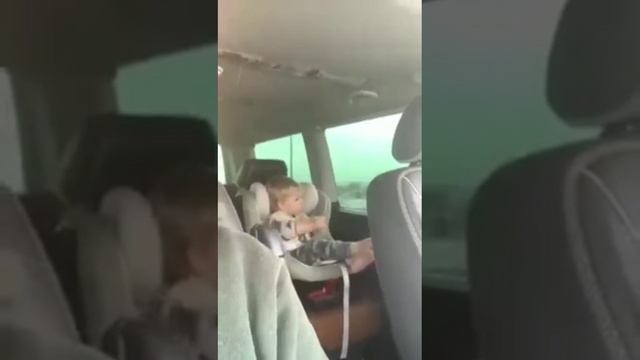 Внук Максим едет на дачу.