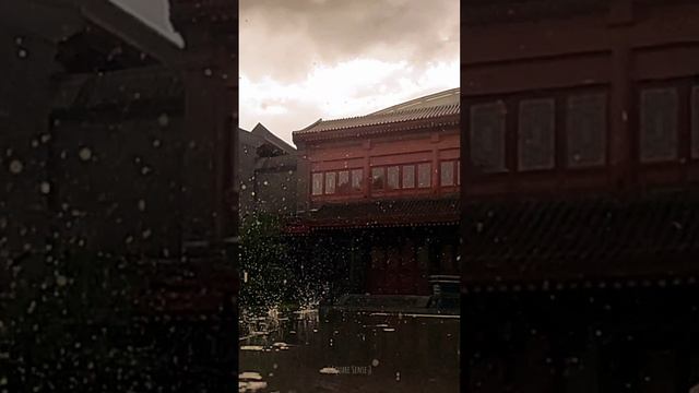 Дождь в парке Хуамин