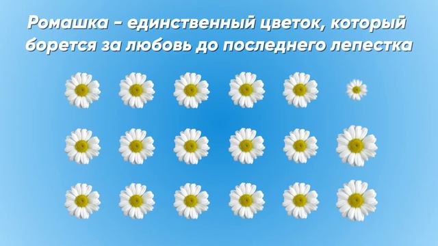 ДЗ_СА_2.11 Анимация нескольких объектов