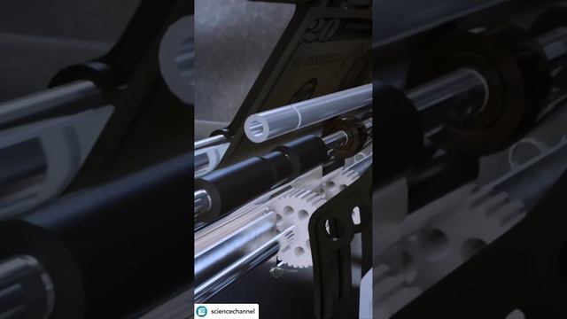 VID_20221219_225546_948.mp4