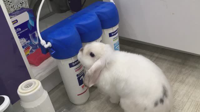 Фильтр под мойку БАРЬЕР ПРОФИ Стандарт - отзыв после 3-х лет эксплуатации