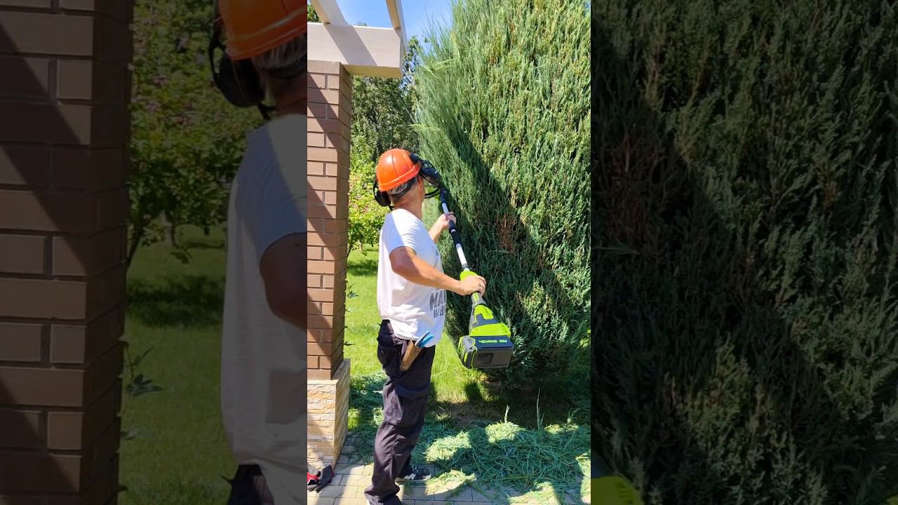 Зажигаем с кусторезов вокруг большого можжевельника #ландшафт #топиарий #садовник #сад #garden #тлт