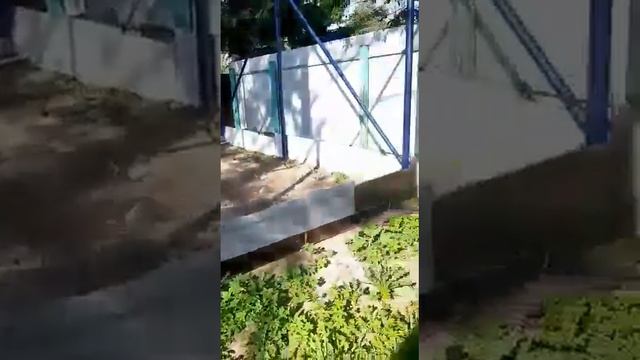 Подготовка к рыбалке. Ленобласть.