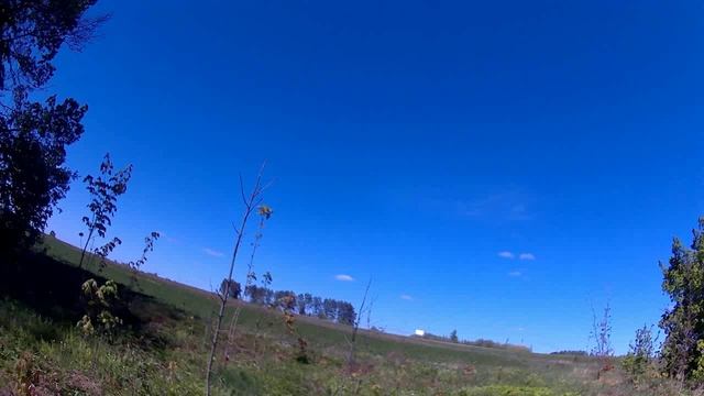 Памятная плита Пушкину А. С. 2023 г