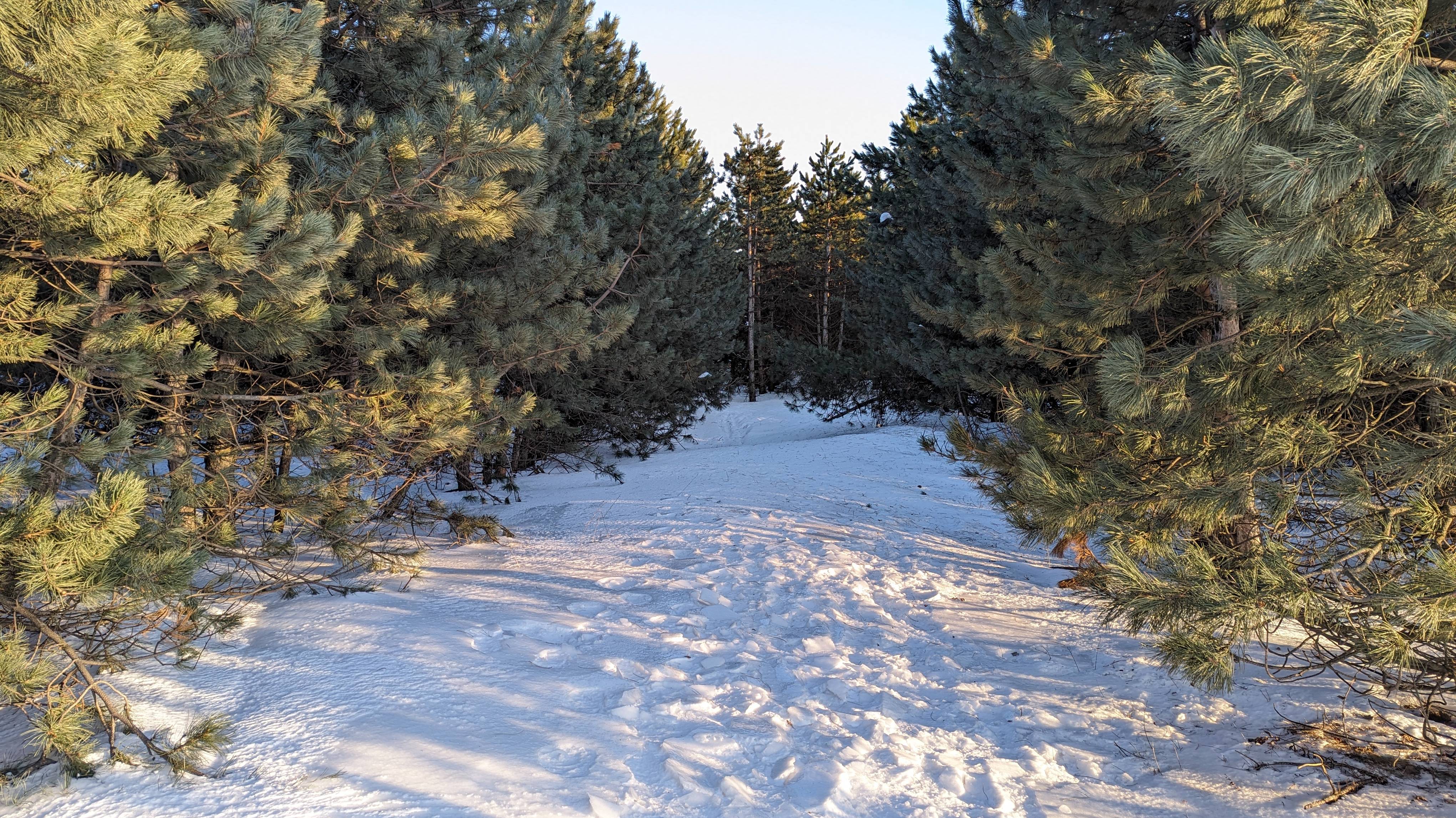Моя зимняя прогулка по Кумысной поляне (10.02.2024г)
