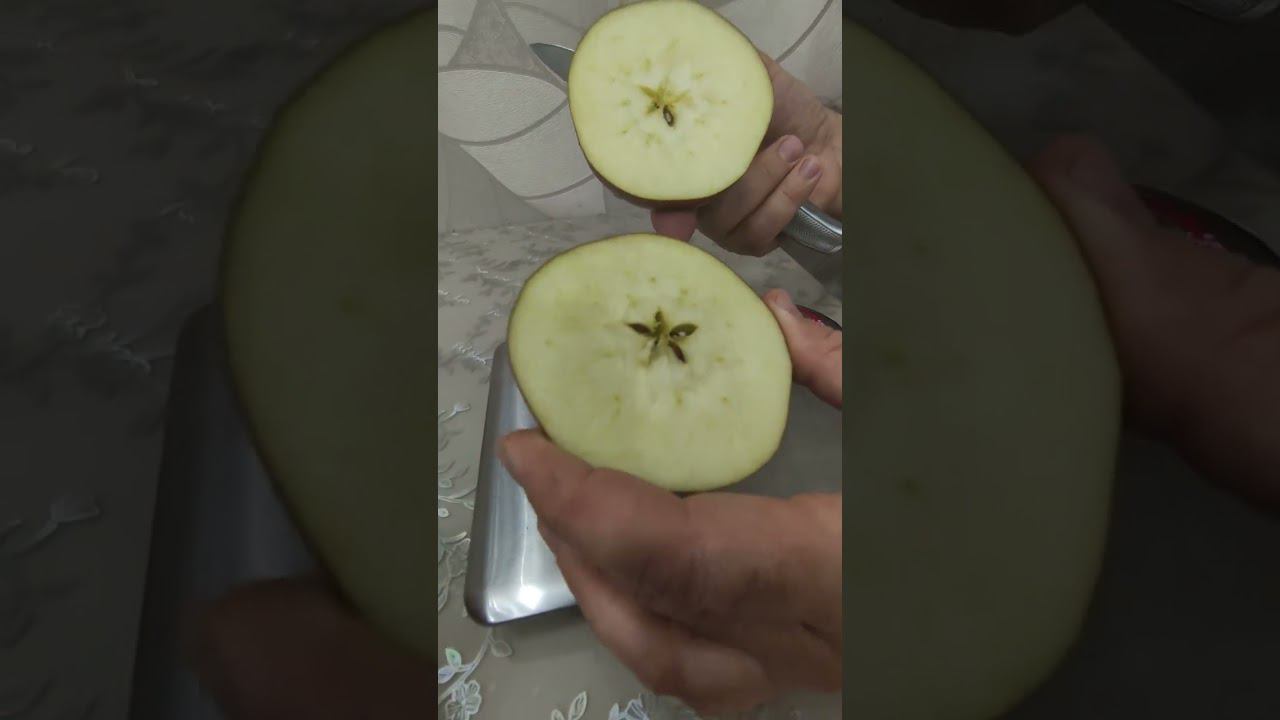 Байя Мариса и миф о красной мякоти Джеромини