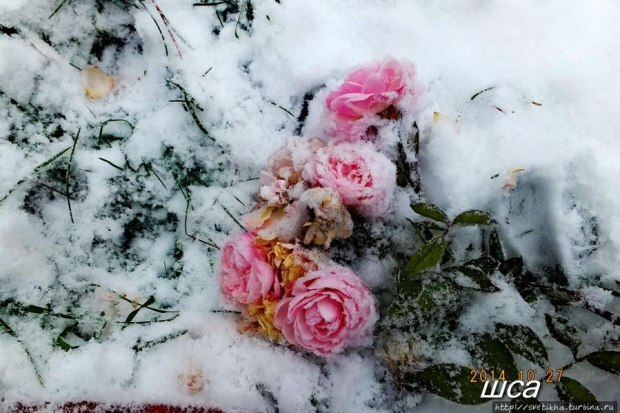 Зимняя рапсодия.mp4