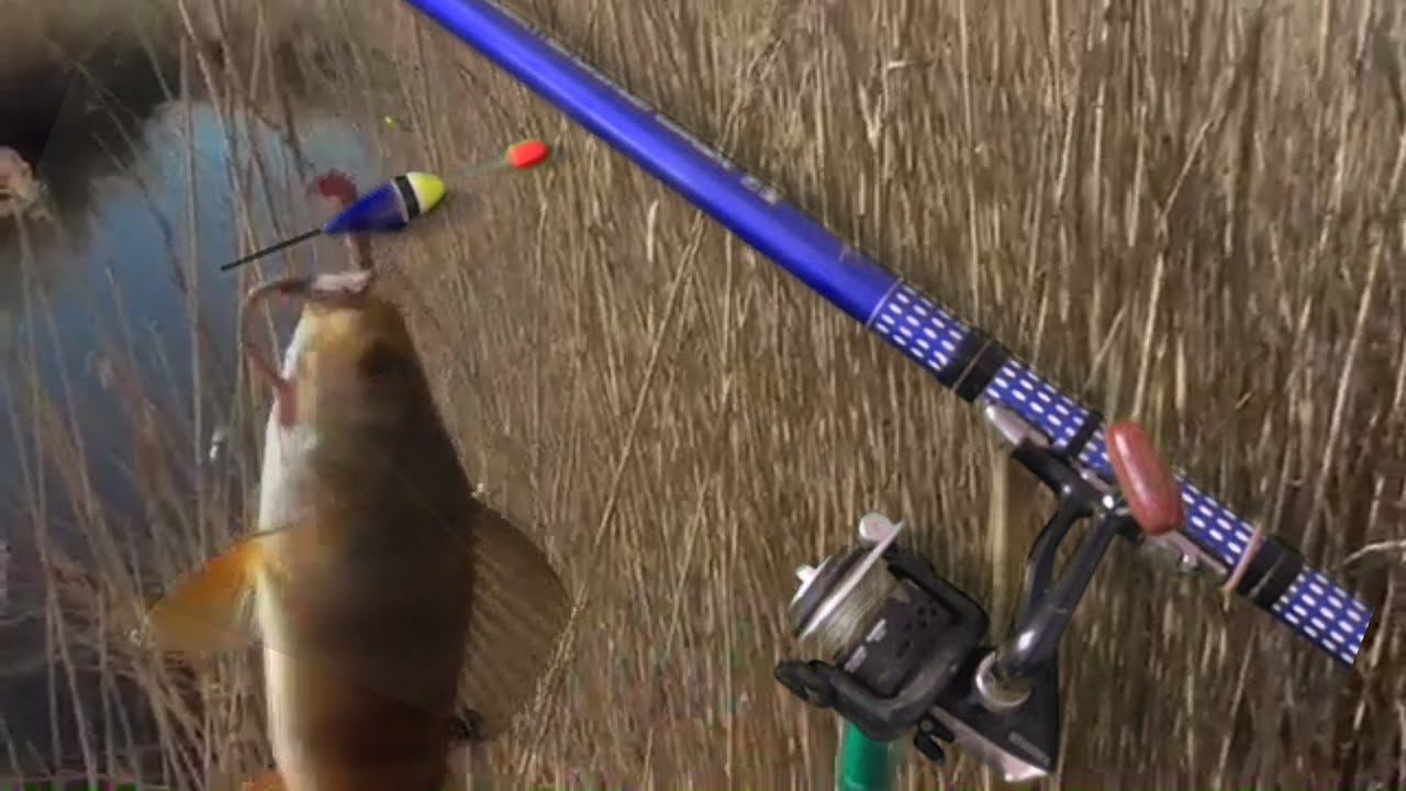 Окунь достойный соперник