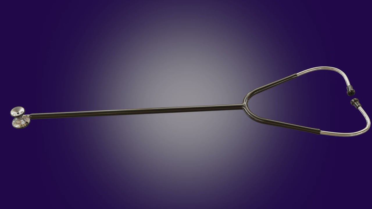 3D model stethoscope