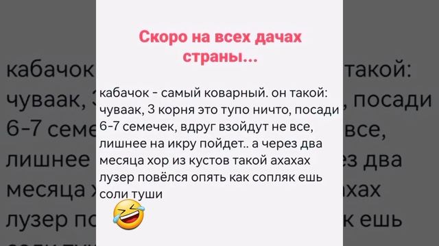 #юмор Августа?Садово-огородно-кабачковое☀️ #шутка #фото #смех #смешныевидео #смешноевидео #shorts