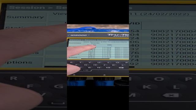 Весовой индикатор Tru-Test ID5000. Просмотр взвешиваний.