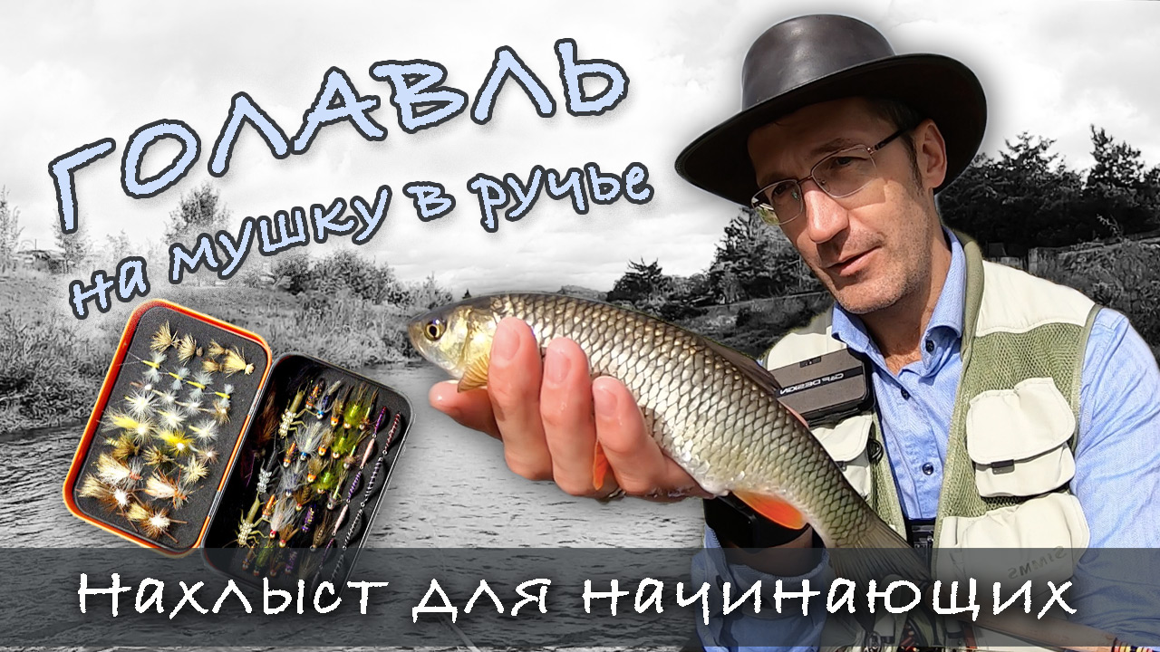 НАХЛЫСТ для начинающих: Голавль на мушку в ручье | FLY FISHING for chub