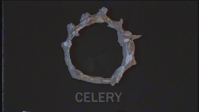 Дима Бамберг / DIMA BAMBERG  / SCHOKK «CELERY V»